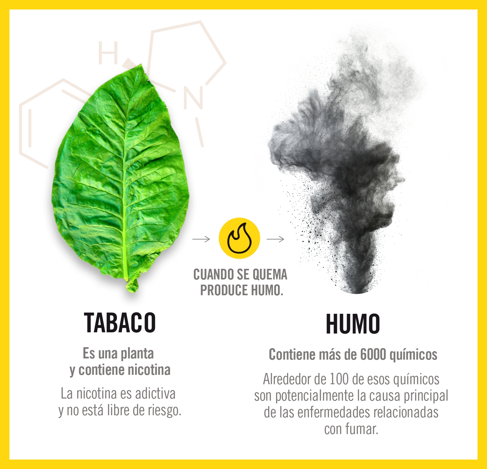 Campaña – Futuro sin humo